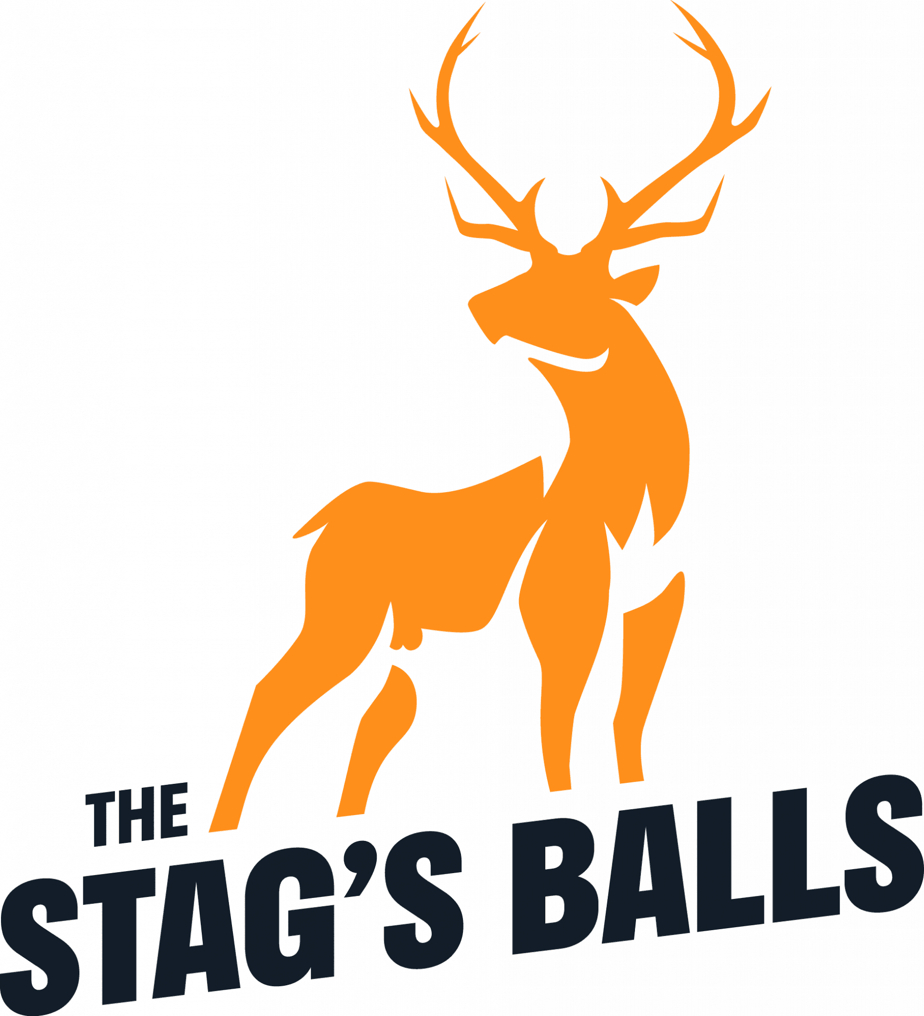 Stag Party Planning Guide | The Stag's Balls