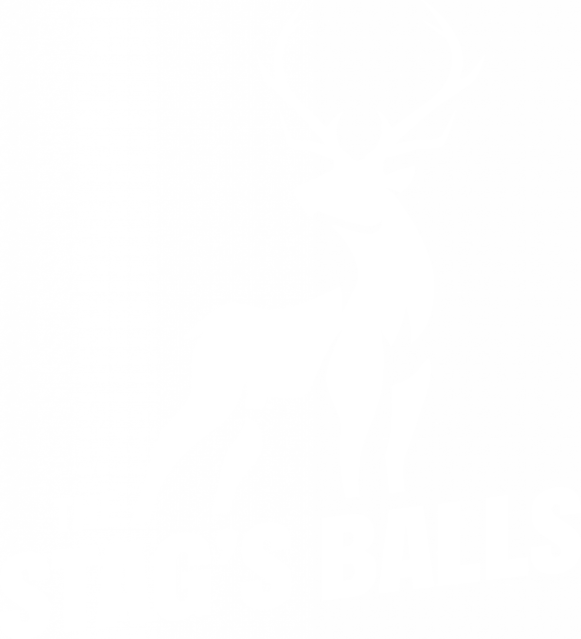 Stag Party Activities, Packages & Stag Do Ideas | The Stag's Balls