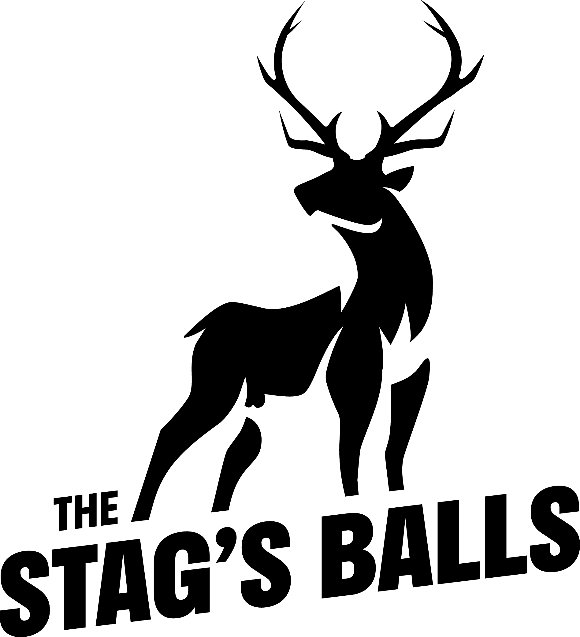 51 Unforgettable Stag Do Activity Ideas | The Stag's Balls