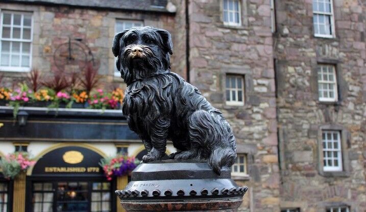 The Best Nightlife In Edinburgh | The Stag's Balls